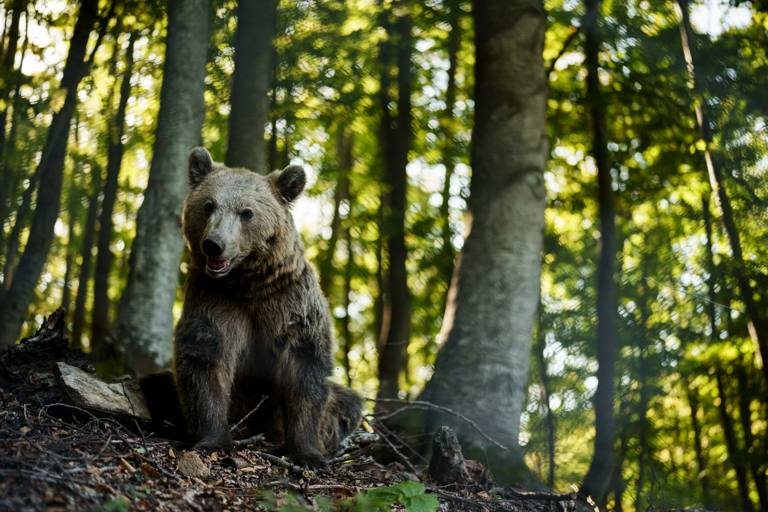 Συνέντευξη με τον Αρκτούρο - topetmou