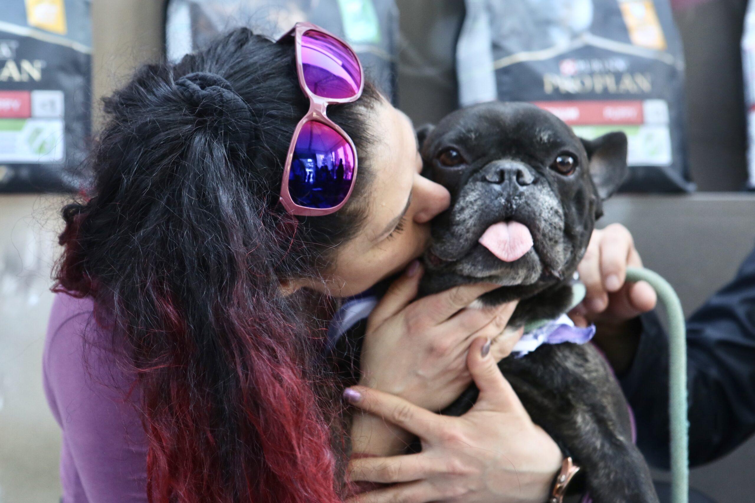 Όσα έγιναν στην 16η Ημέρα Υιοθεσίας των Pet City - Μουσούδες, αγάπη και 10 υιοθεσίες - topetmou