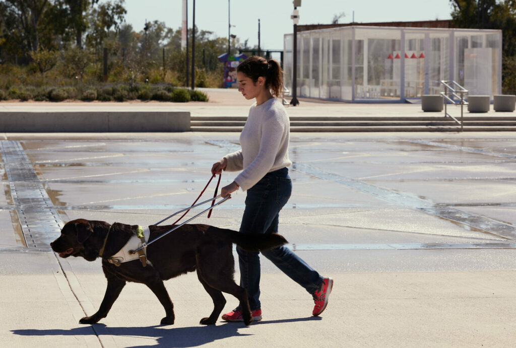 - topetmou Liberty Guide dogs σκύλοι οδηγοί ανθρώπων με οπτικές αναπηρίες