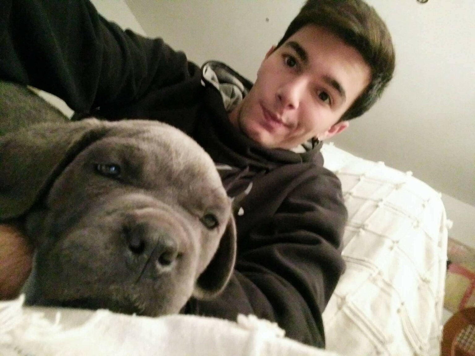 Μάθε τα πάντα για τα κατοικίδια- topetmou