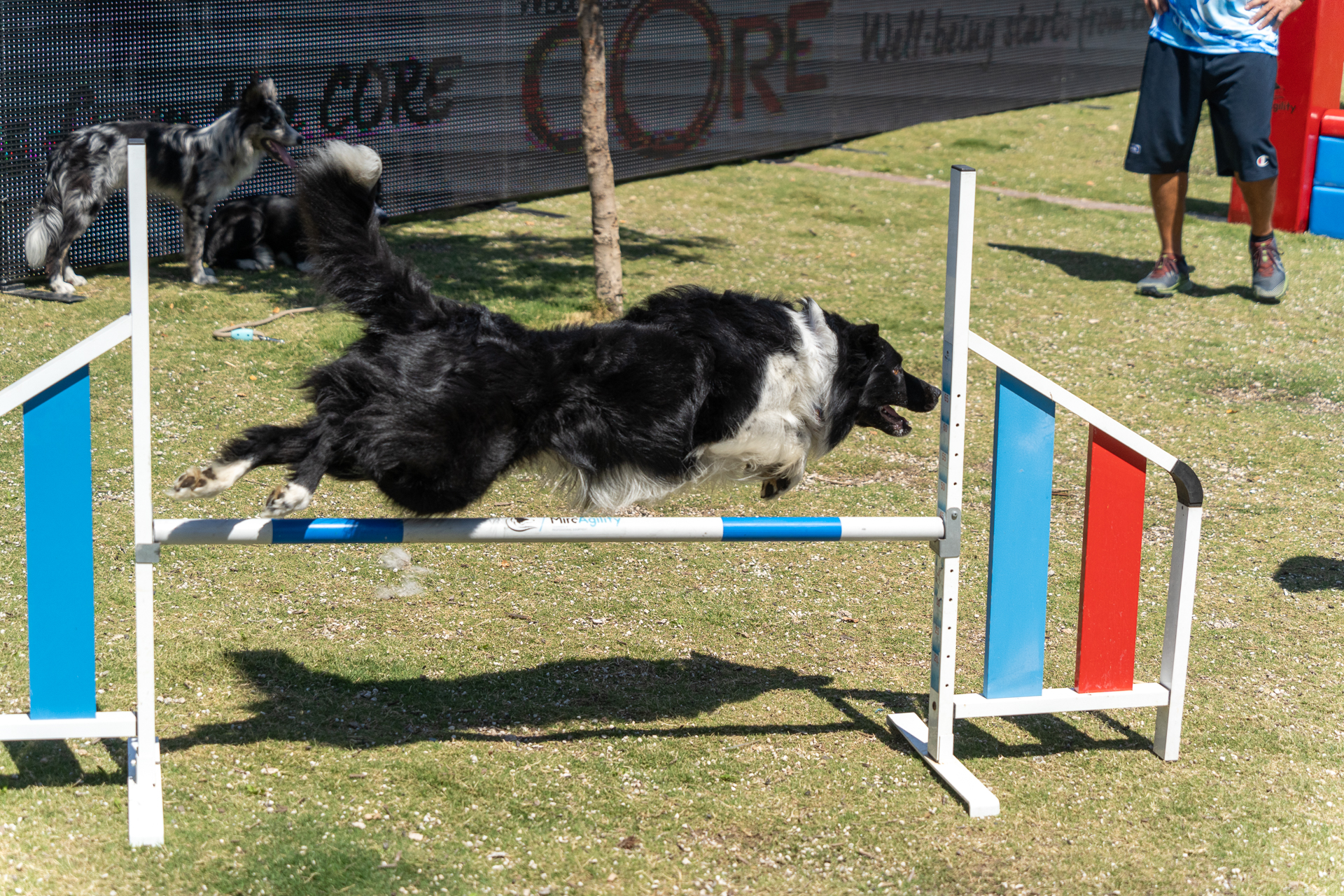 - topetmou Woof Festival 5 & 6 Απριλίου στο Πεδίον του Άρεως