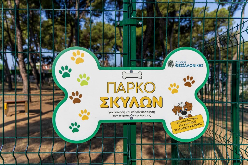 - topetmou Τι να κάνετε αν βρείτε ένα χτυπημένο αδέσποτο
