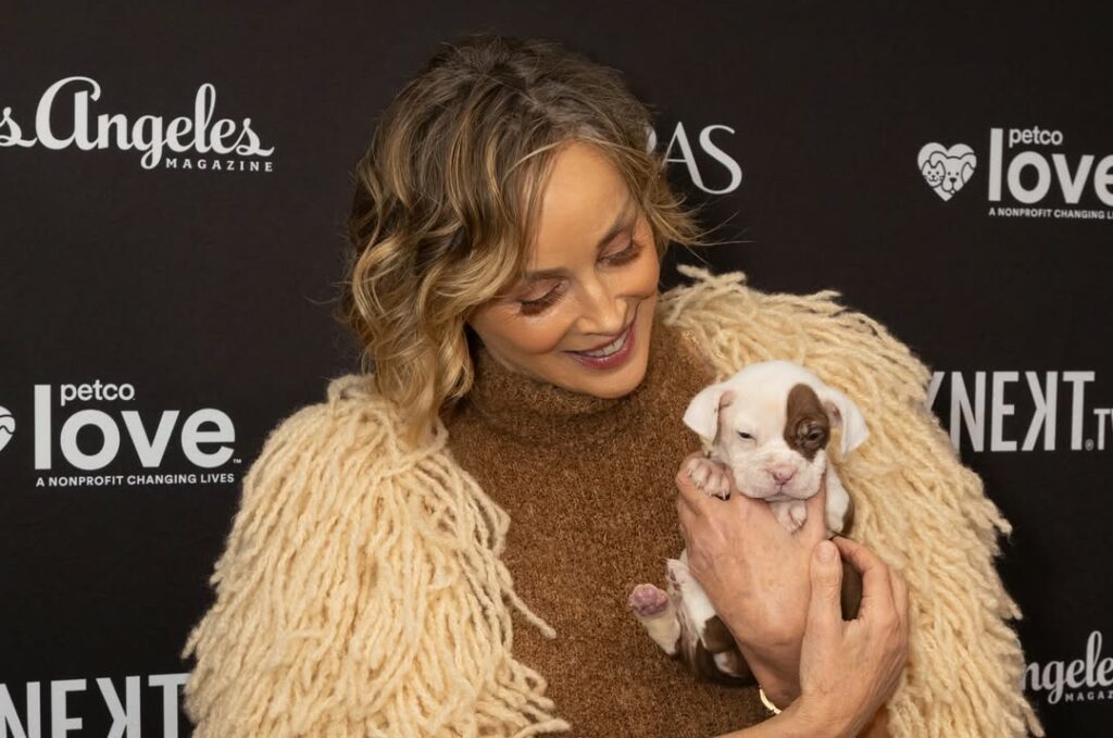 Ενδιαφέρουσες πληροφορίες για τους ταράνδους - topetmou