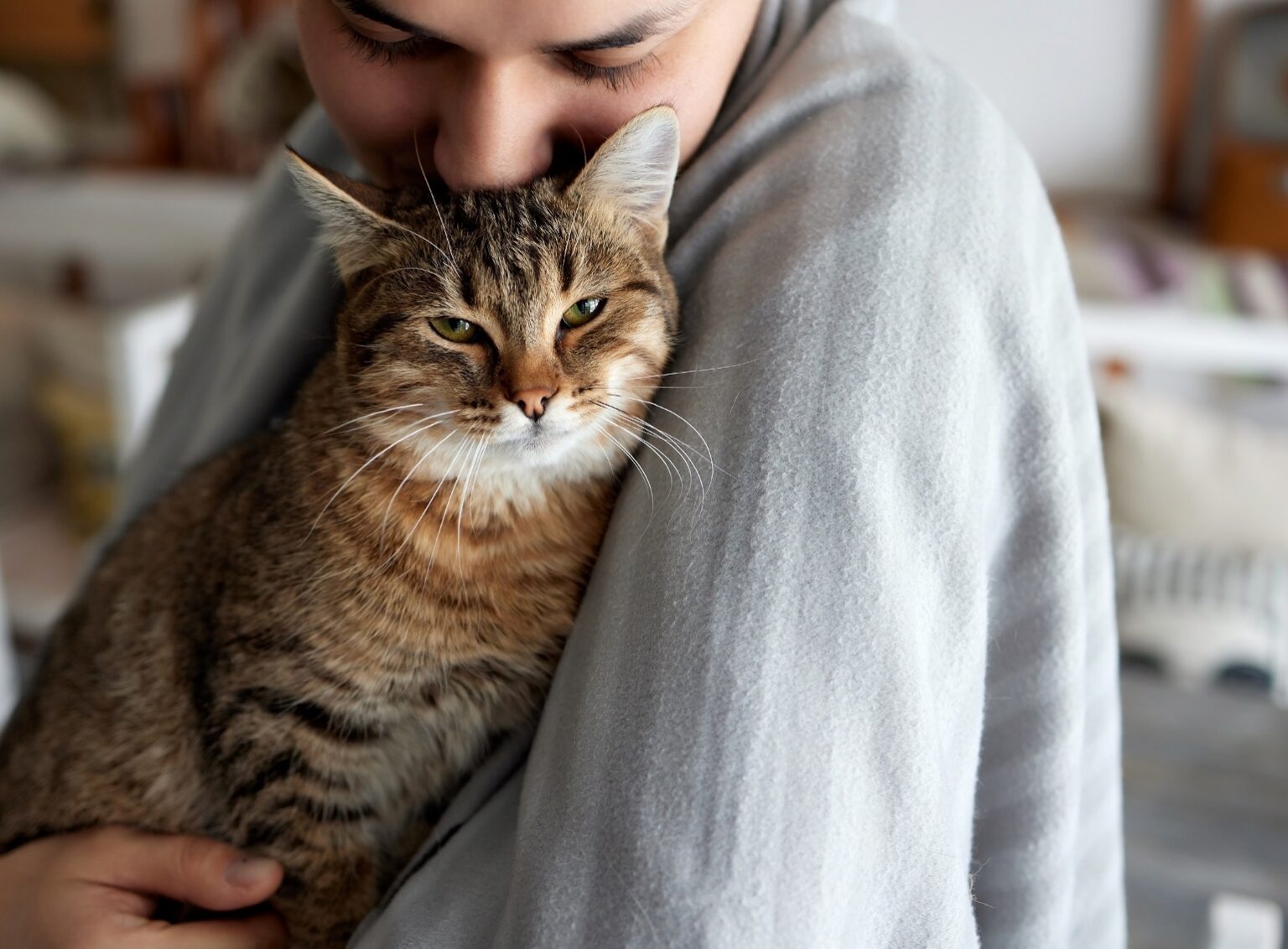 Ενδιαφέρουσες πληροφορίες για τους ταράνδους - topetmou